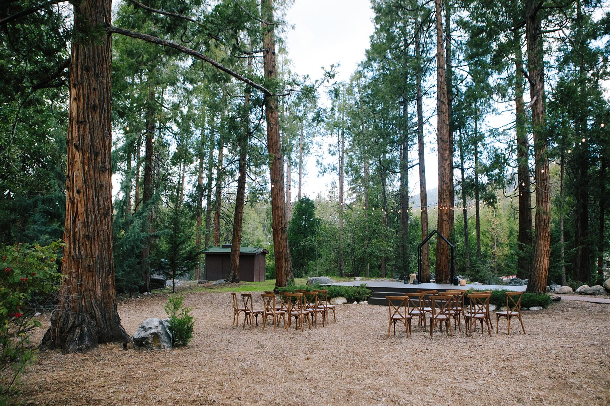 Romantic Idyllwild Forest Elopement with Family | Jenn Whalen