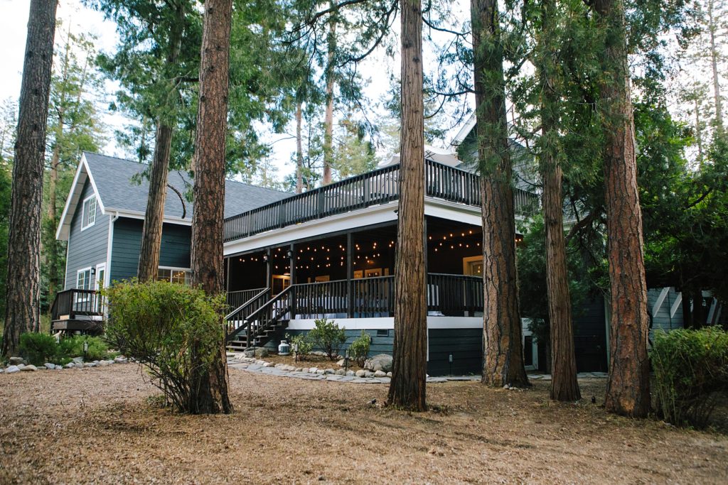Romantic Idyllwild Forest Elopement with Family | Jenn Whalen