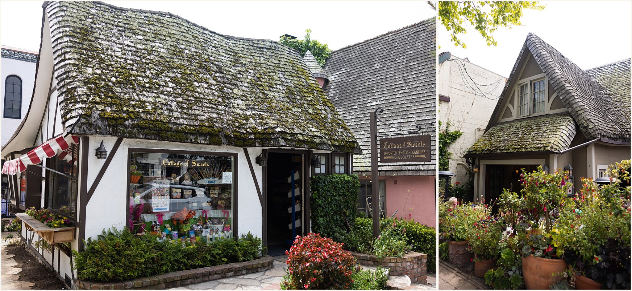 How to have a Carmel-by-the-sea and Monterey Elopement | Jenn Whalen