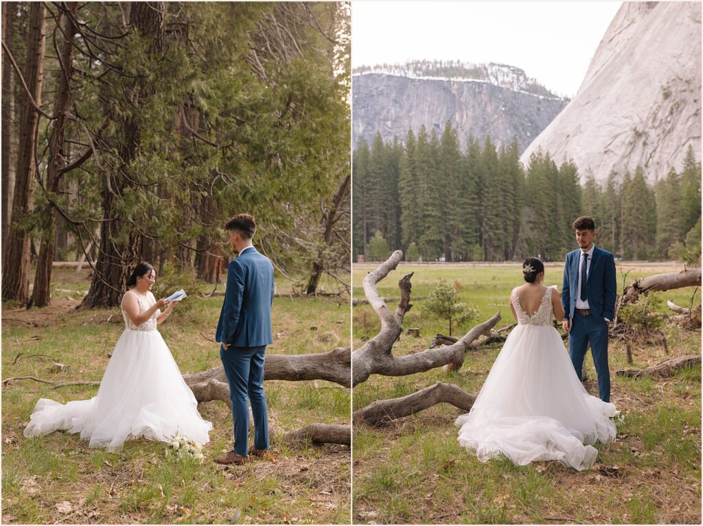Beautiful Spring Yosemite Elopement // Leslie & Matt | Jenn Whalen