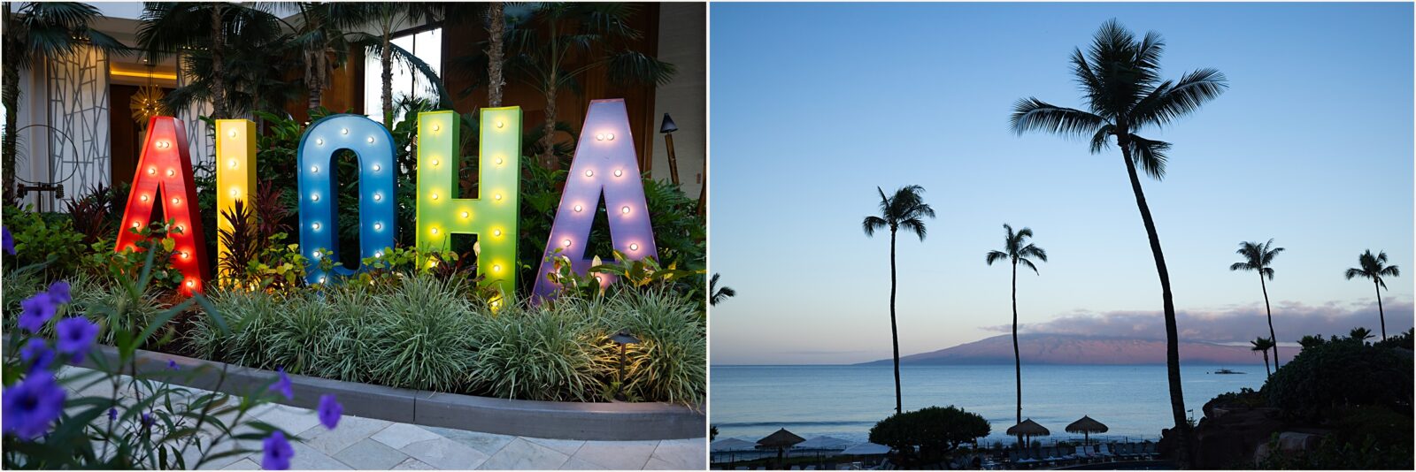 Enchanted Forest Maui Elopement // Helen & Jay | Jenn Whalen