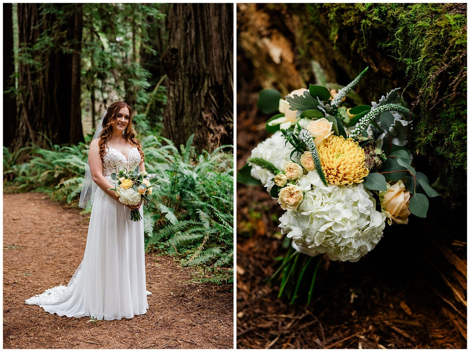 Redwoods Elopement in Jedediah Smith Redwoods State Park | Jenn Whalen