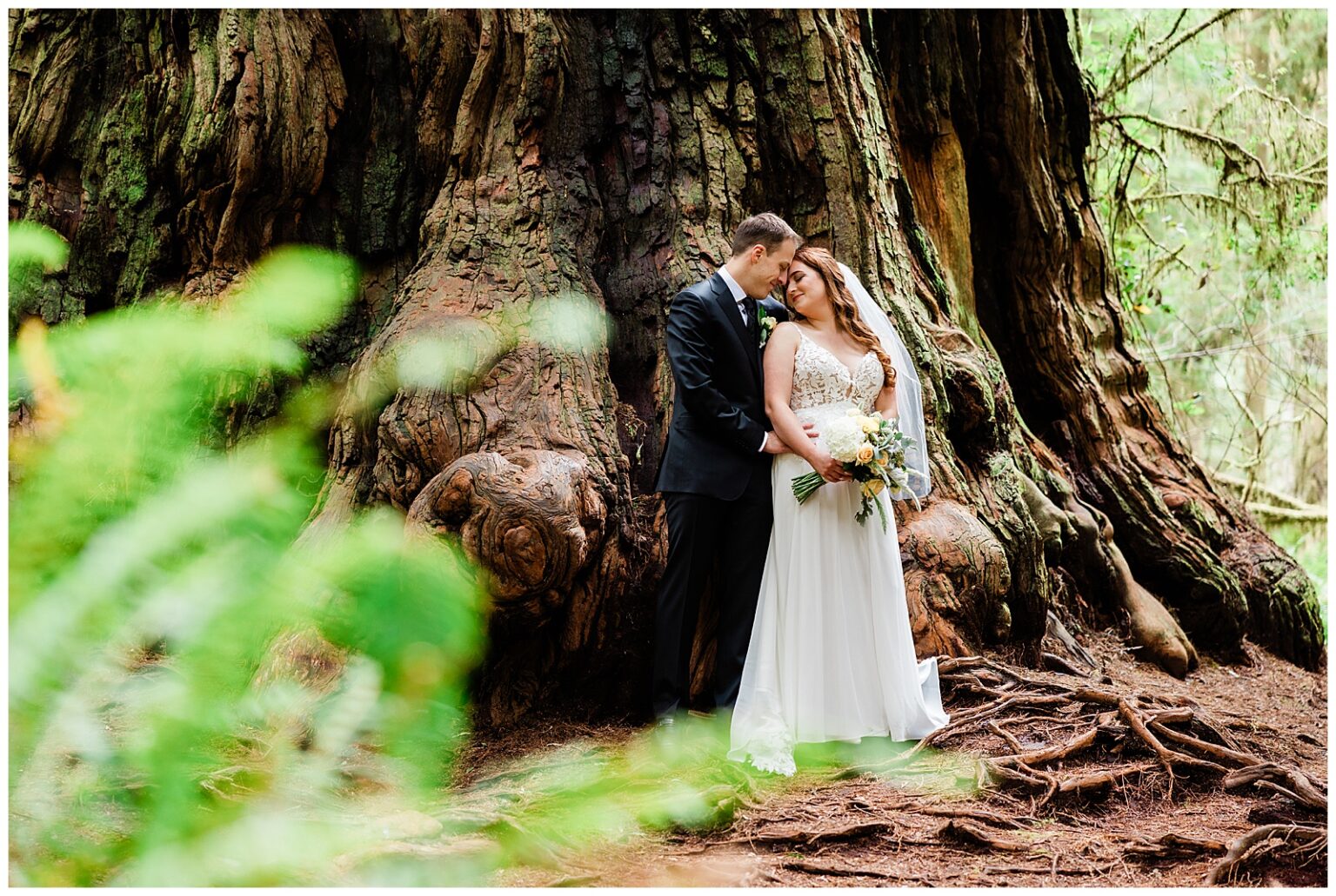 Redwoods Elopement in Jedediah Smith Redwoods State Park | Jenn Whalen