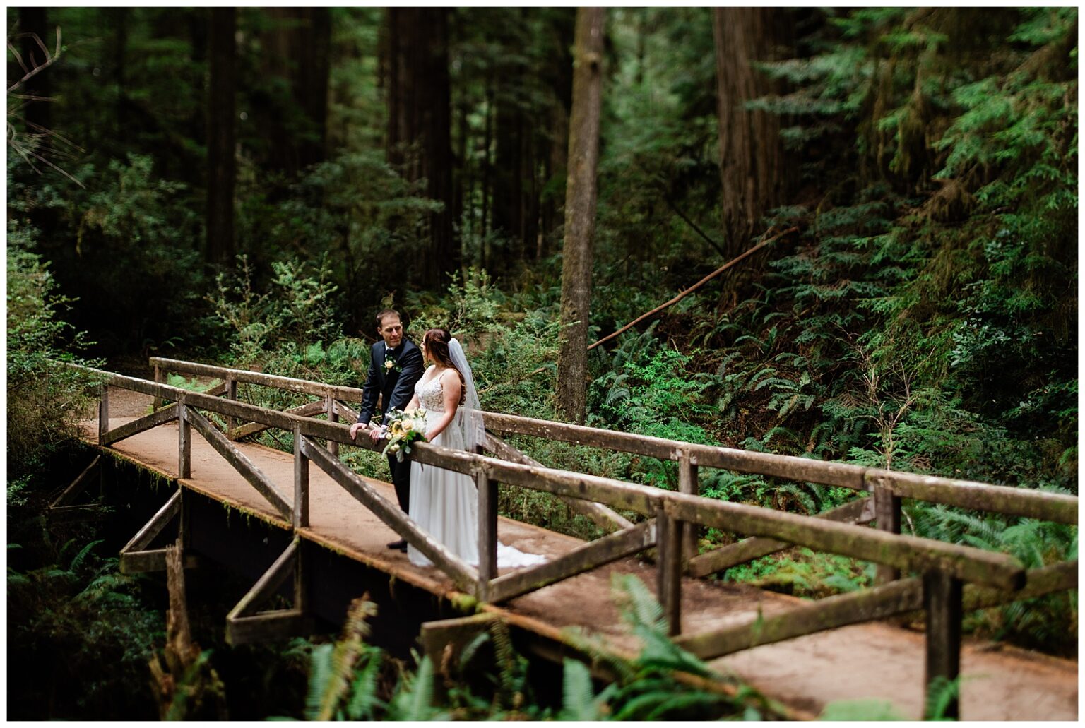 Redwoods Elopement in Jedediah Smith Redwoods State Park | Jenn Whalen