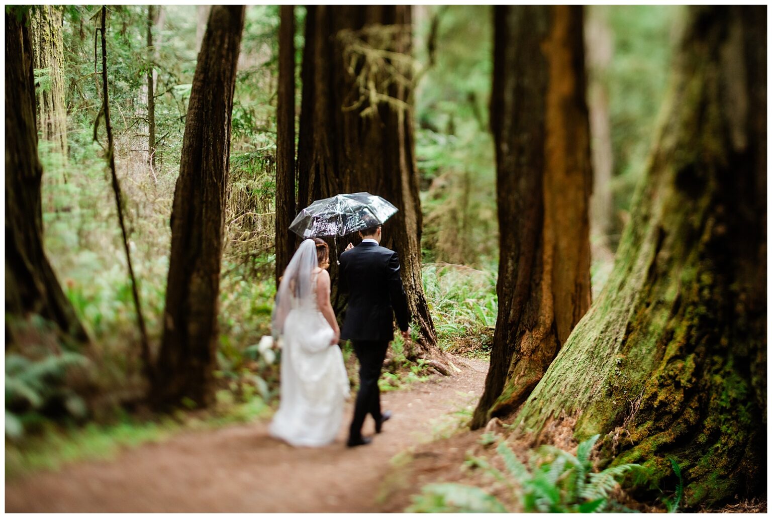 Redwoods Elopement in Jedediah Smith Redwoods State Park | Jenn Whalen