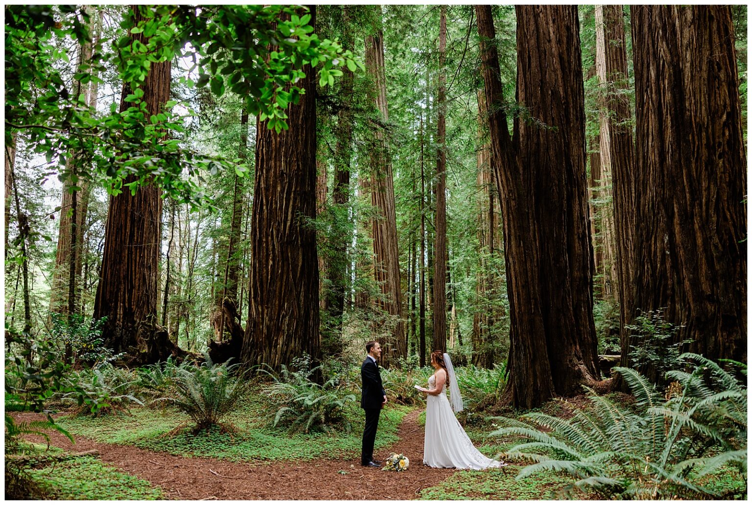 Redwoods Elopement in Jedediah Smith Redwoods State Park | Jenn Whalen