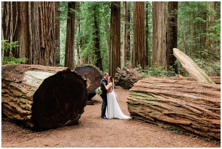 How to Plan Your Dream California Redwood Elopement: A Step-by-Step ...
