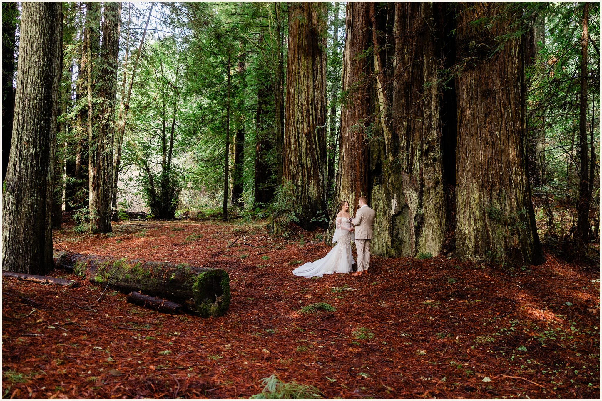 Dreamy Redwood Elopement Wedding In A Lush Forest | Jenn Whalen