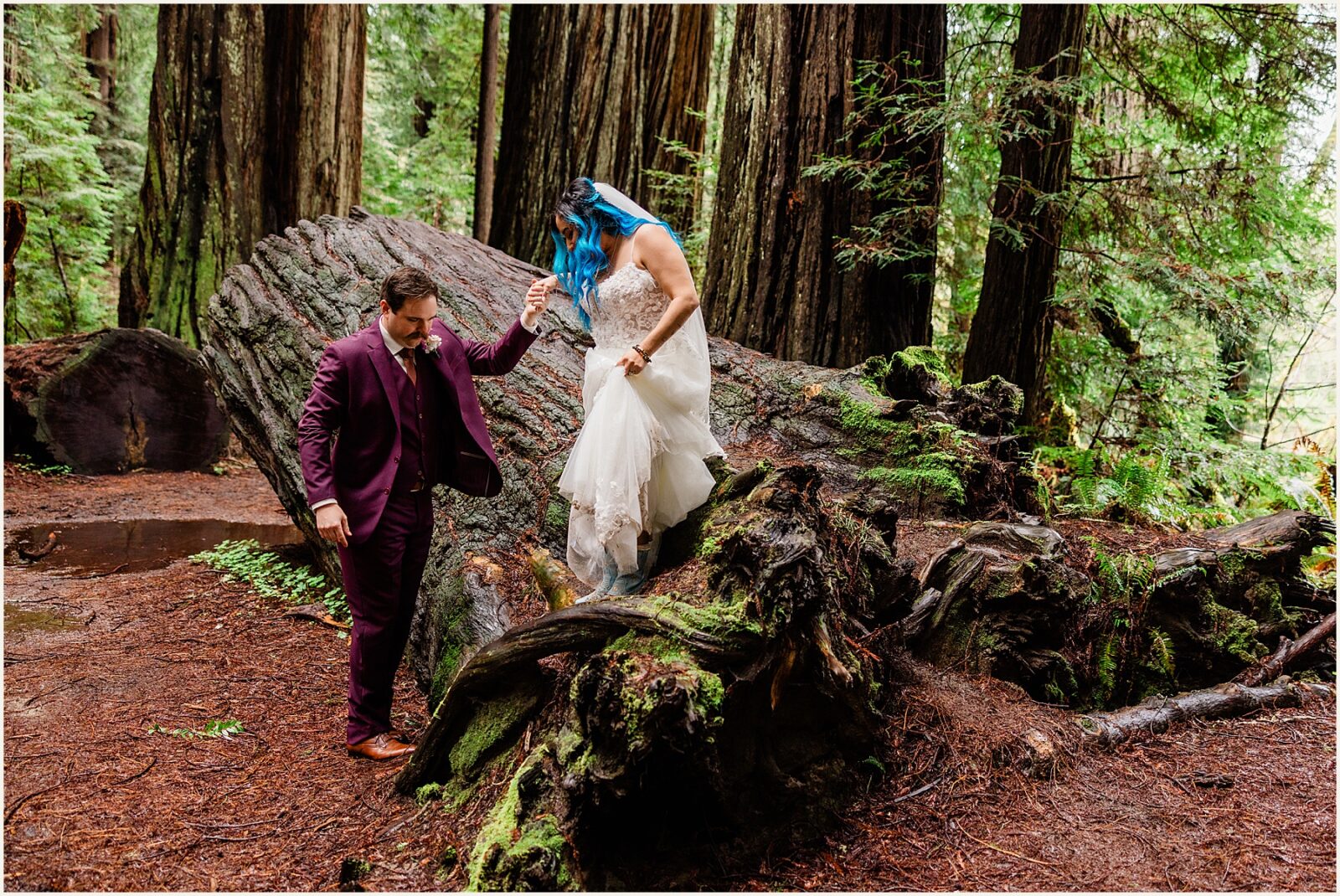 Enchanted California Redwoods Wedding | Jenn Whalen