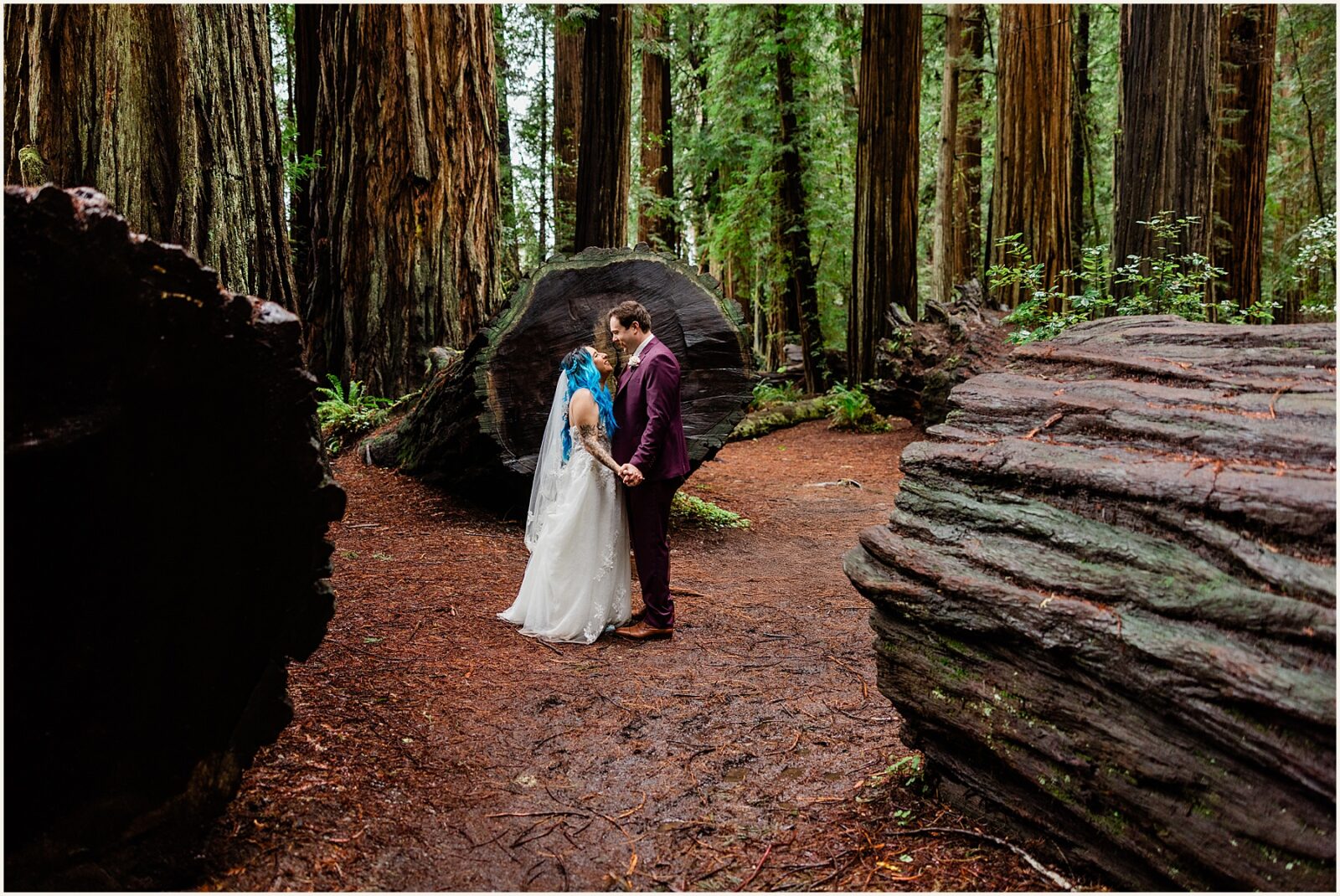 Enchanted California Redwoods Wedding | Jenn Whalen