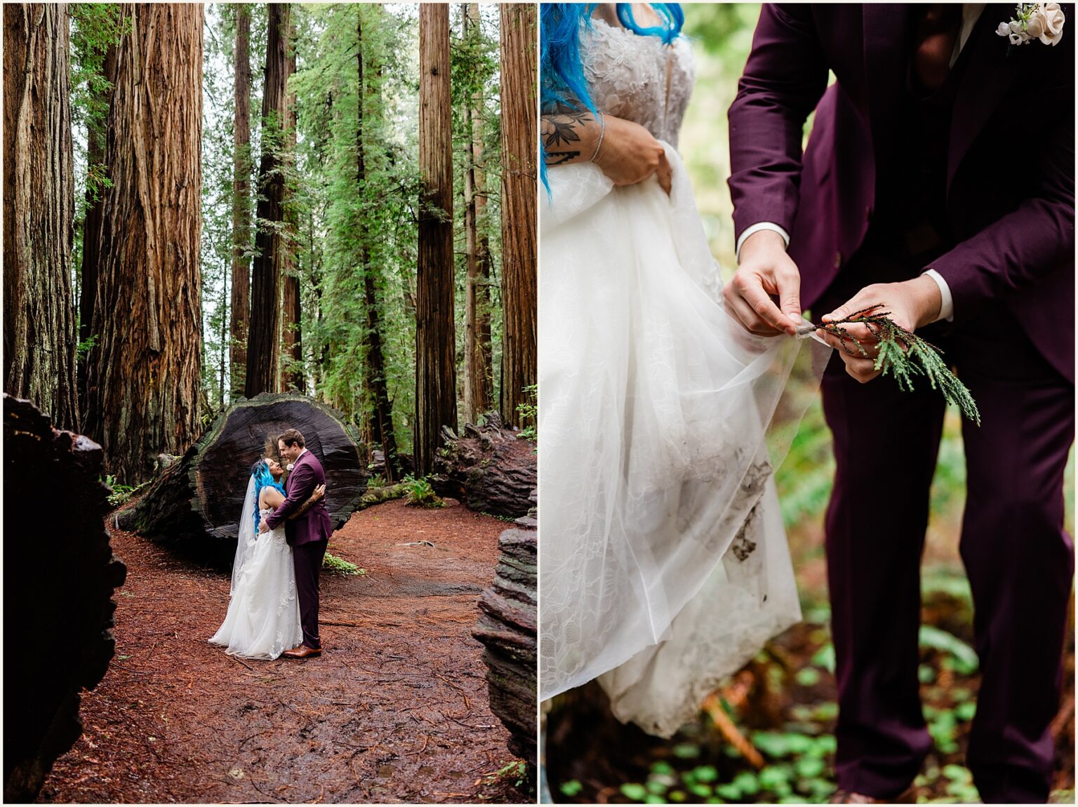 Enchanted California Redwoods Wedding | Jenn Whalen