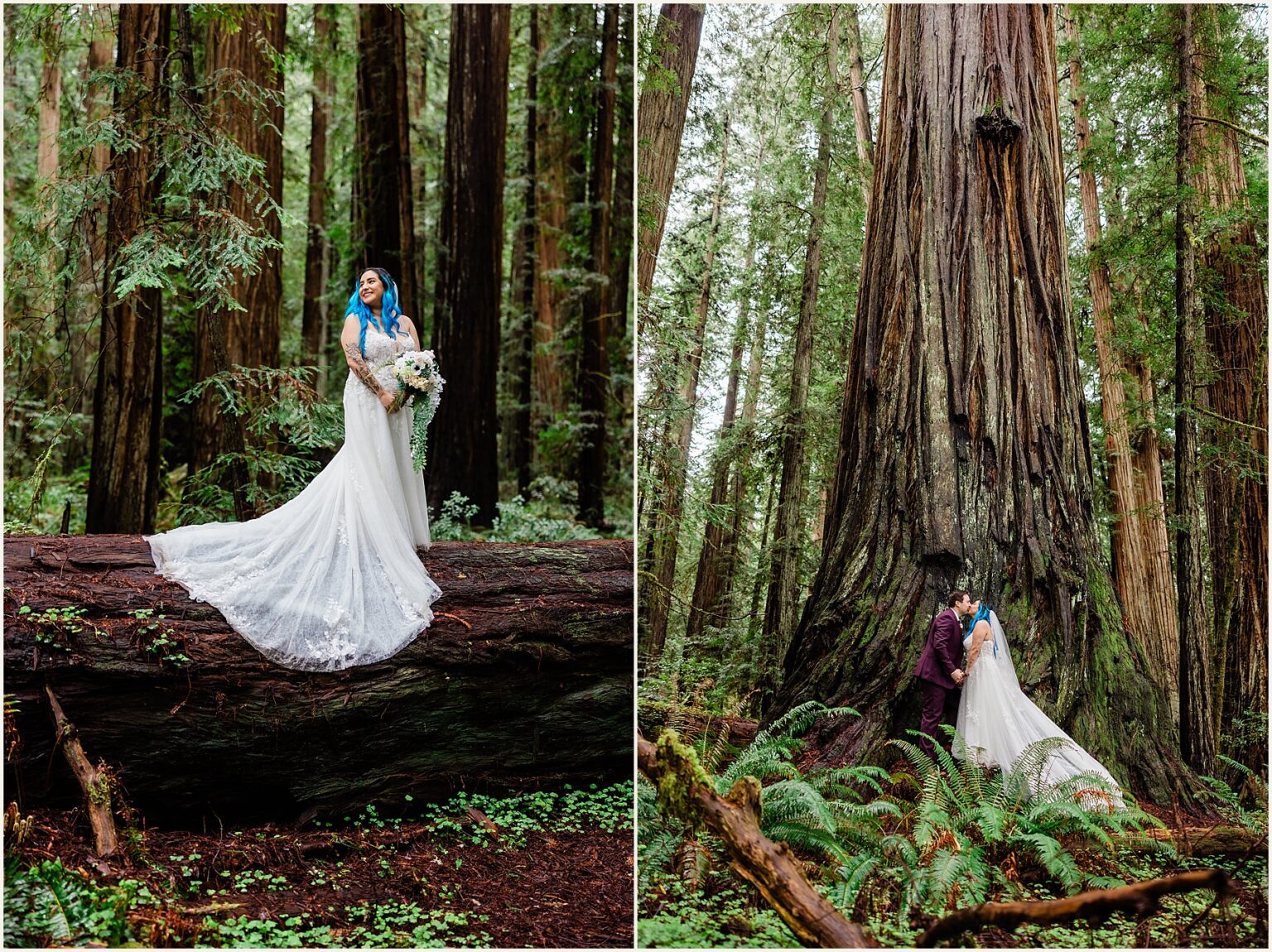Enchanted California Redwoods Wedding | Jenn Whalen