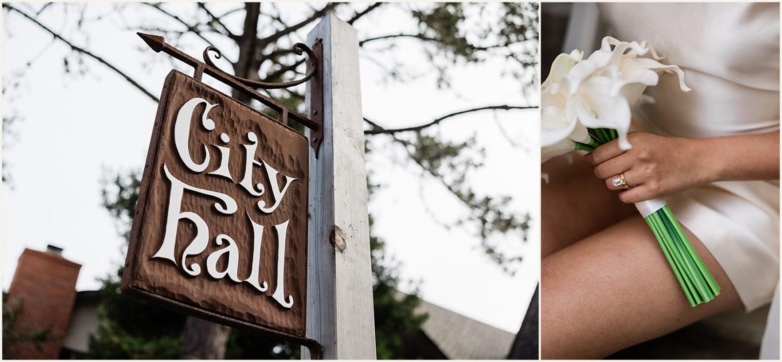 A Dreamy Garrapata State Park Elopement in Calla Lily Valley 🌿💍